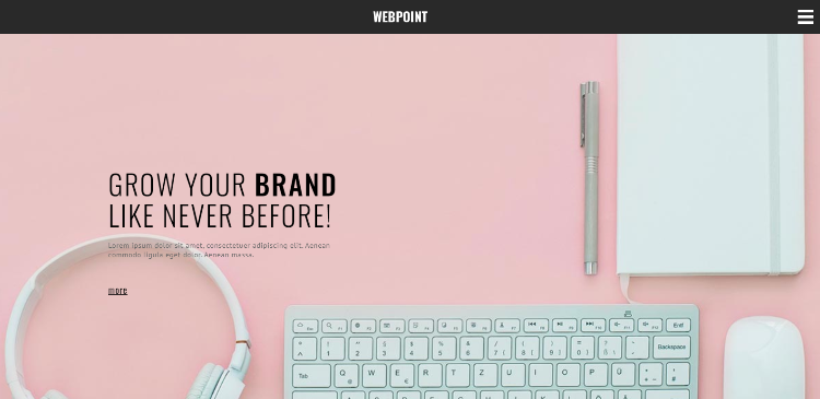 WebPoint - Responsive HTML5 and CSS3 Website Template - Elect